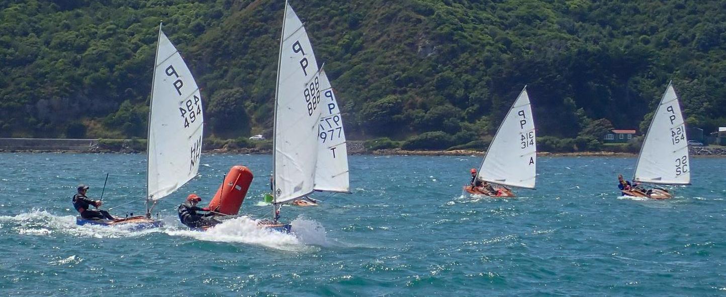 2020 P Class Tanner Cup | Yachting New Zealand