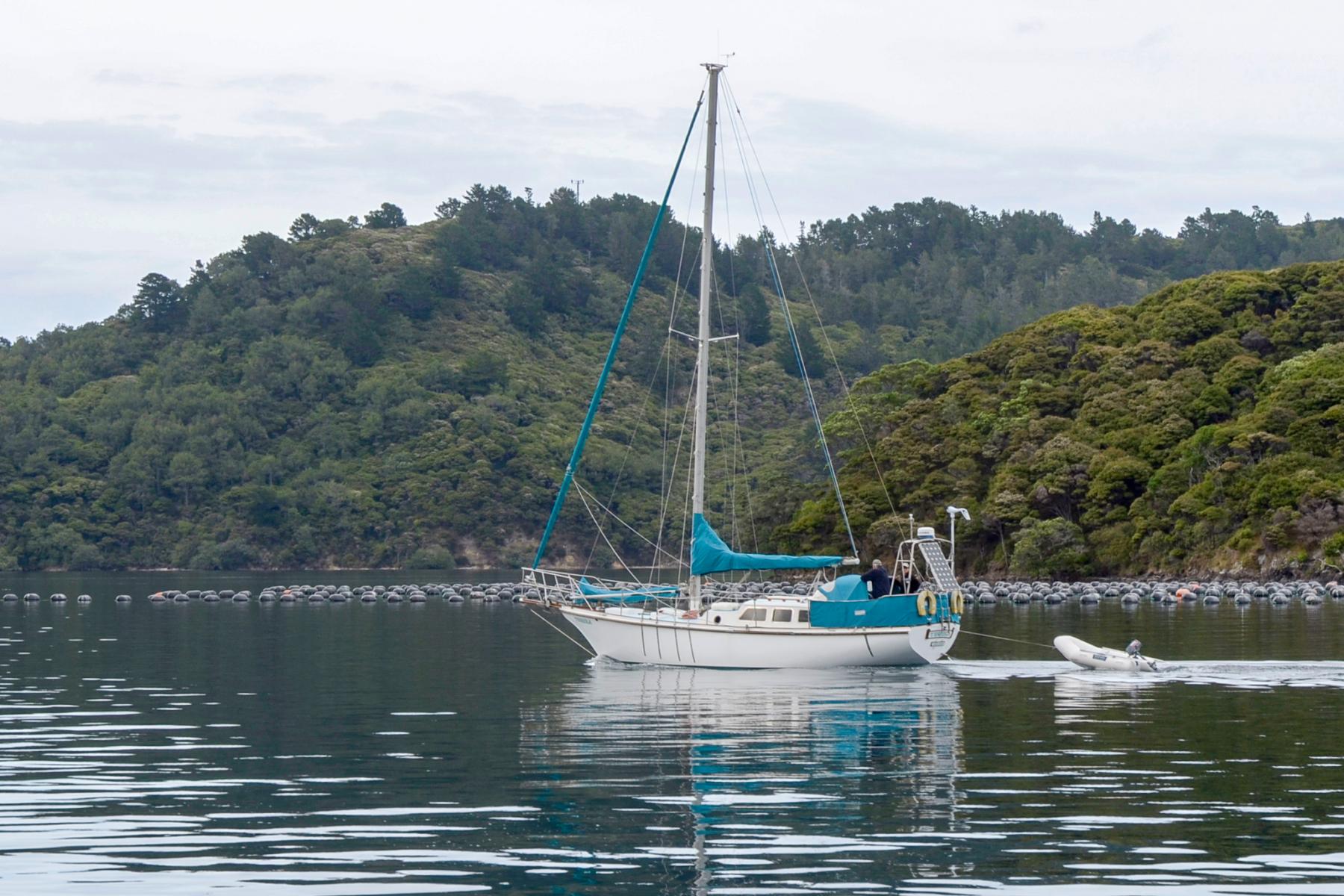 YNZ the only national voice on advocacy issues | Yachting New Zealand