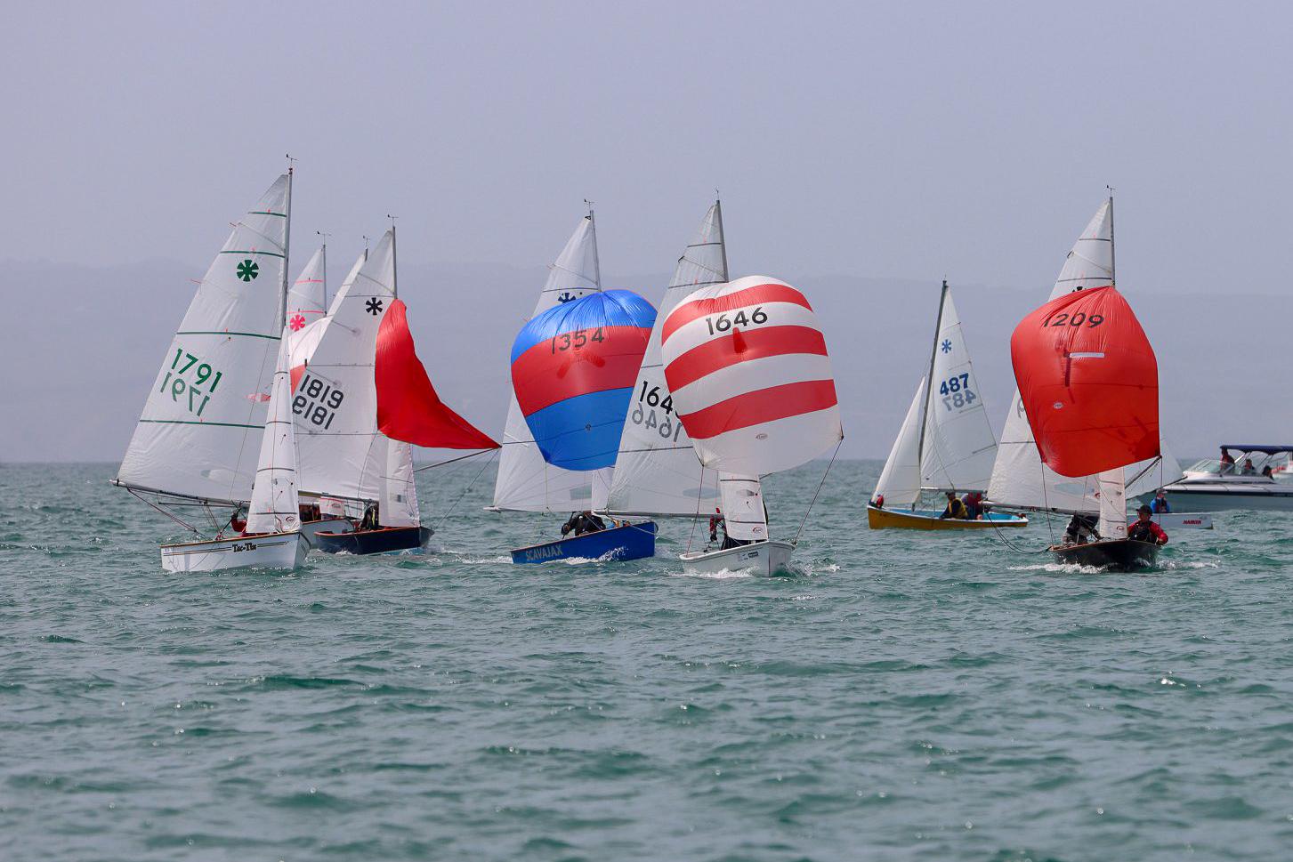 Boats out in force at Napier's Summer Regatta | Yachting New Zealand
