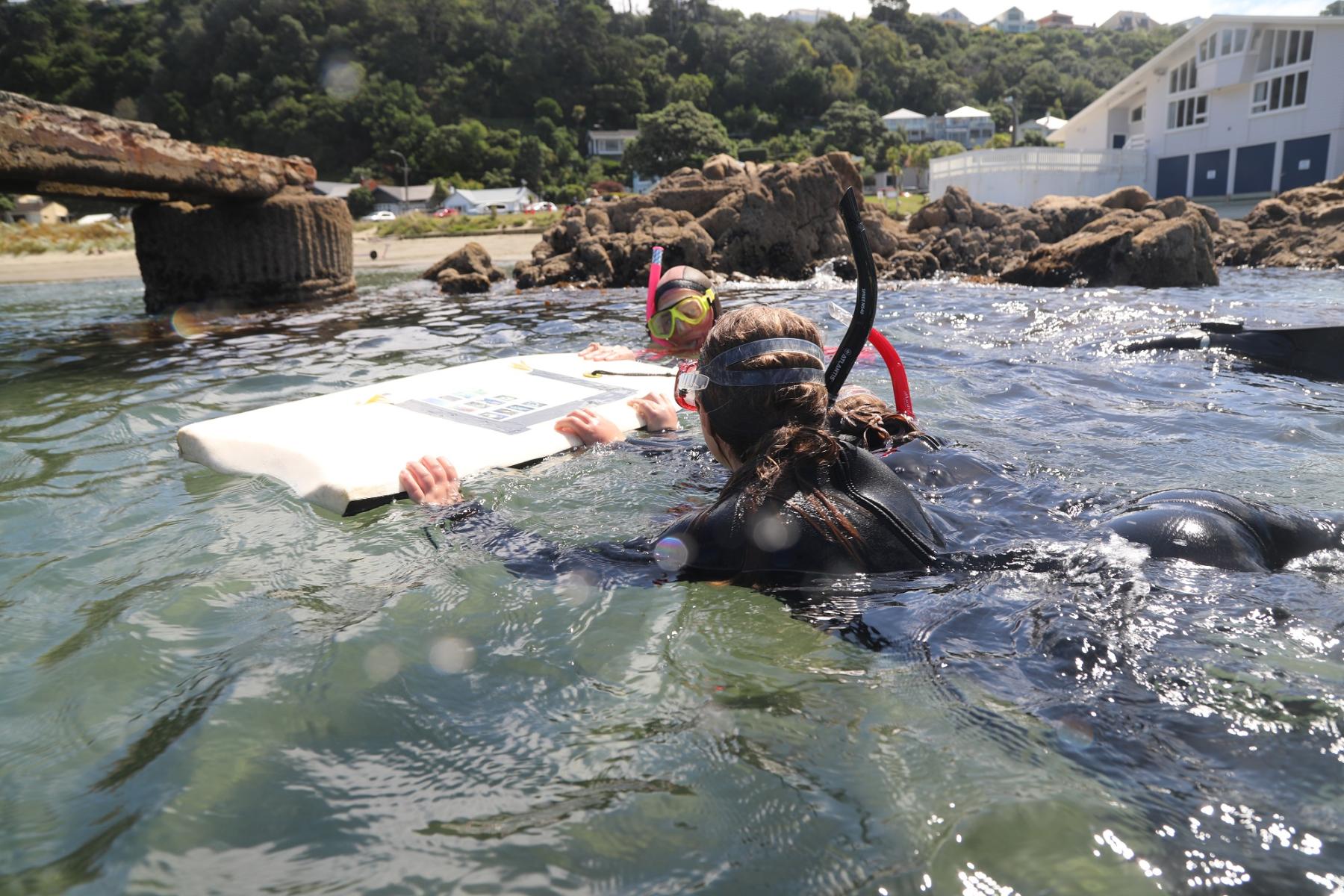 Making the connection with RŪNĀ this summer | Yachting New Zealand